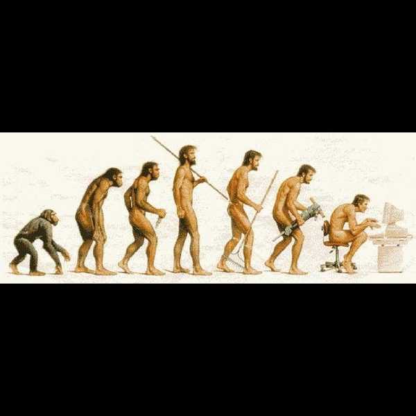 Evolution of Programming Languages | Tecky Academy